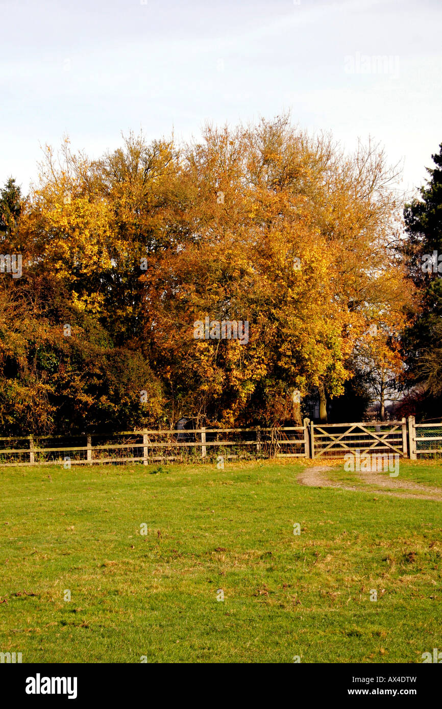 Essex scenery hi-res stock photography and images - Alamy