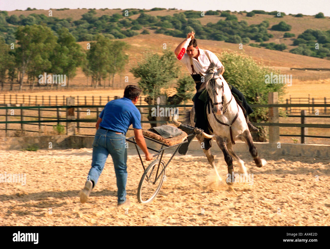 Bull fighter practicing Stock Photo - Alamy