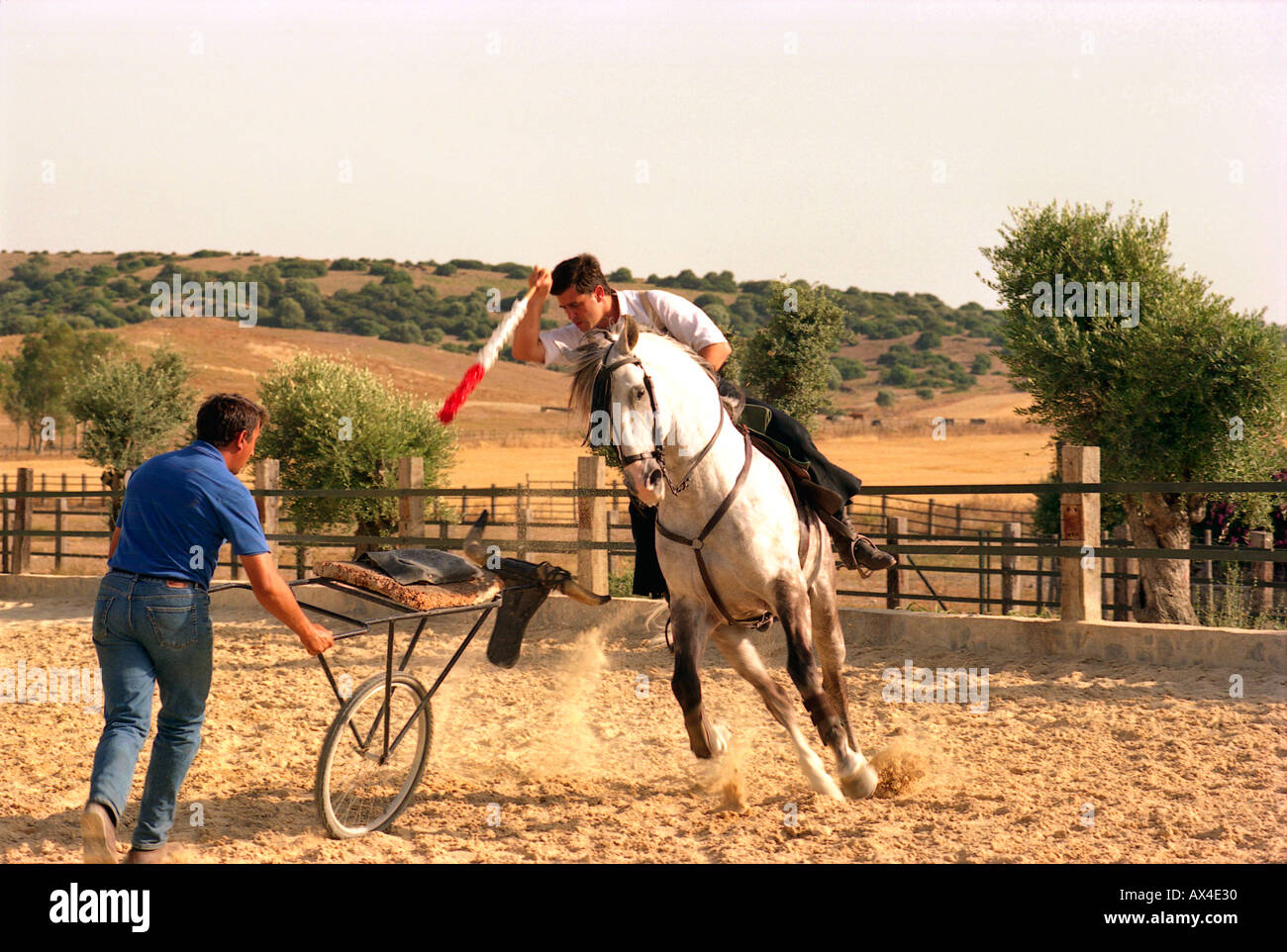Bull fighter practicing Stock Photo - Alamy
