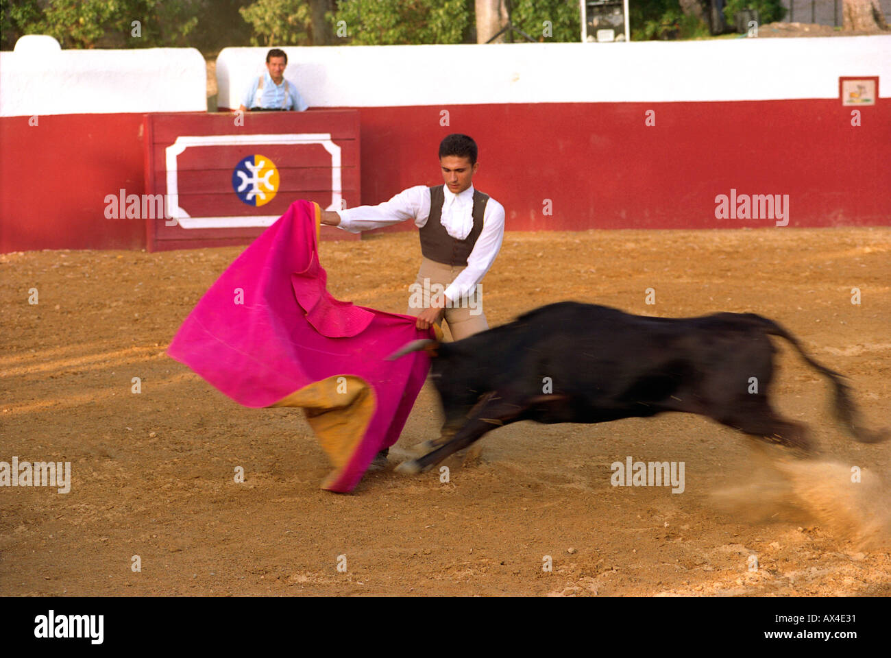 Bull fighter practicing Stock Photo - Alamy