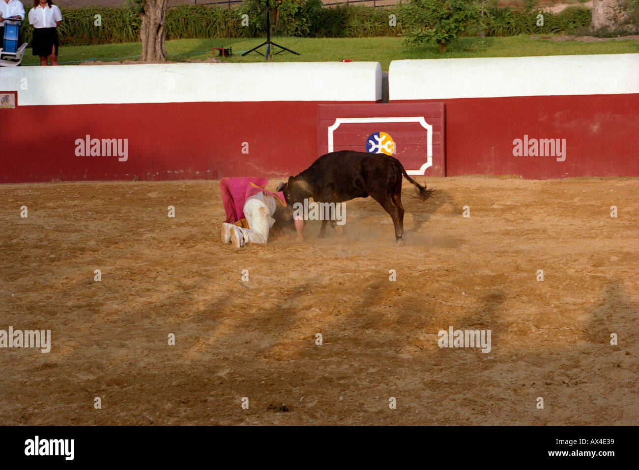Bull fighter practicing Stock Photo - Alamy
