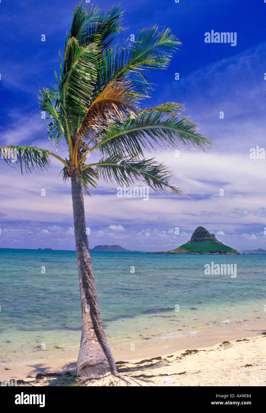 chinamans hat island with palm tree foregound Stock Photo - Alamy