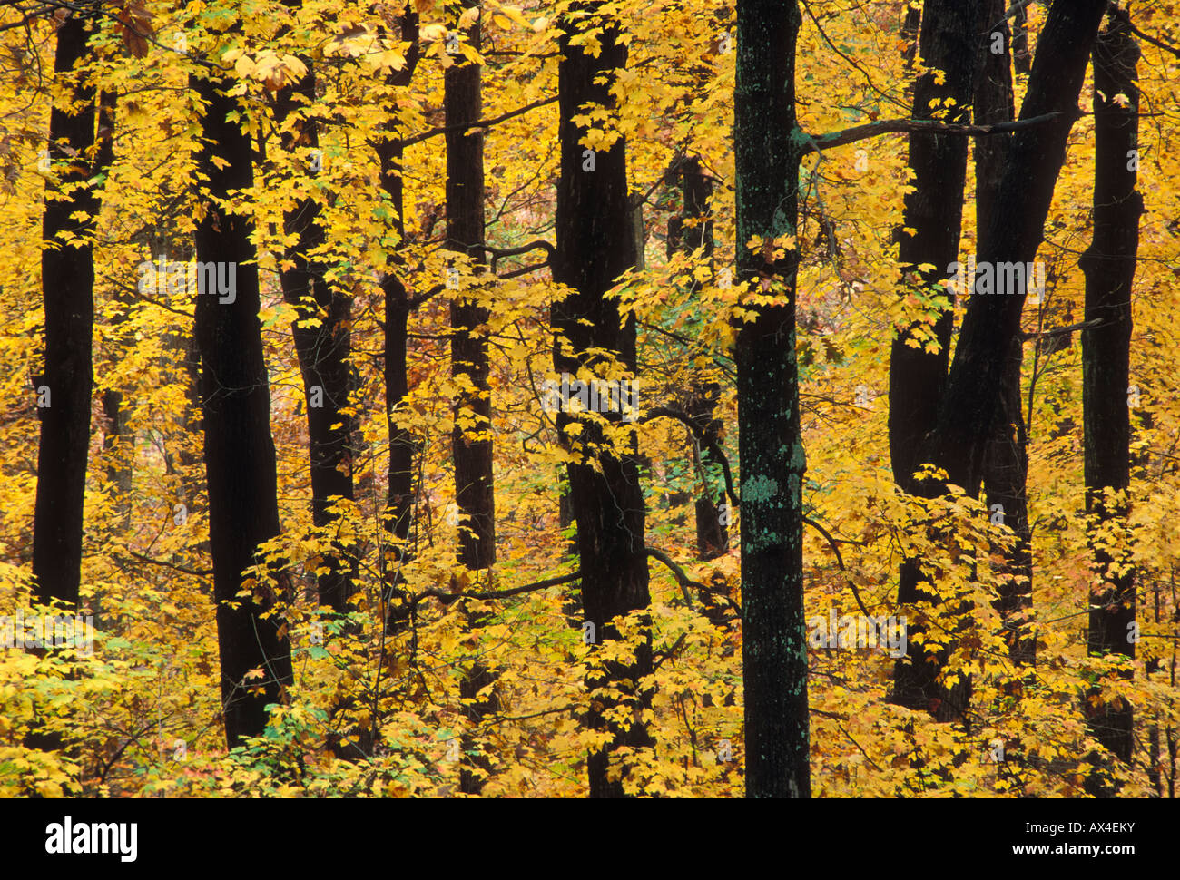 Clark county indiana hi-res stock photography and images - Alamy