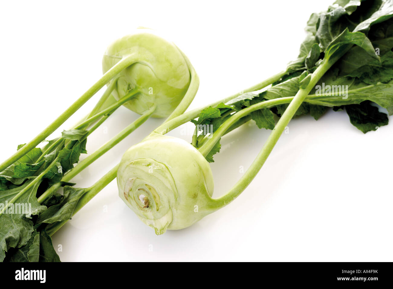 Kohlrabi tubers hi-res stock photography and images - Alamy