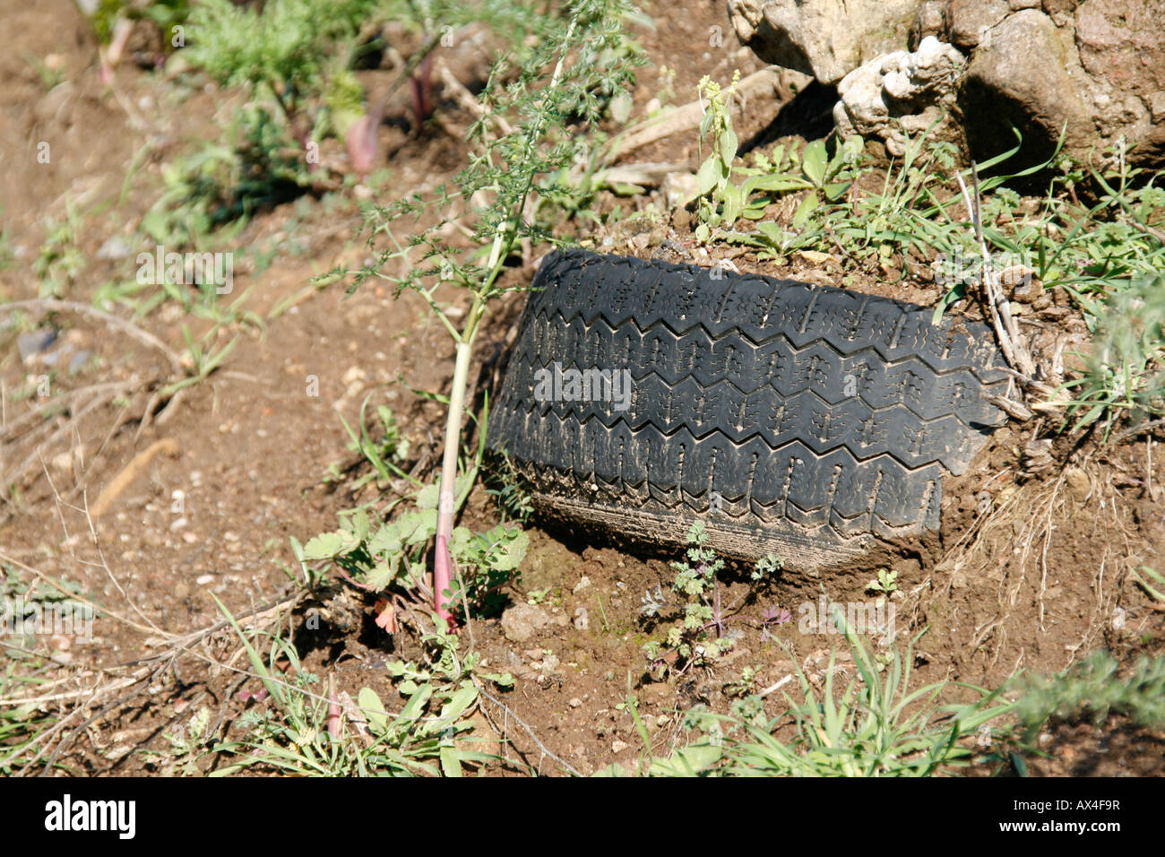 car tyre dumped in countryside Stock Photo - Alamy