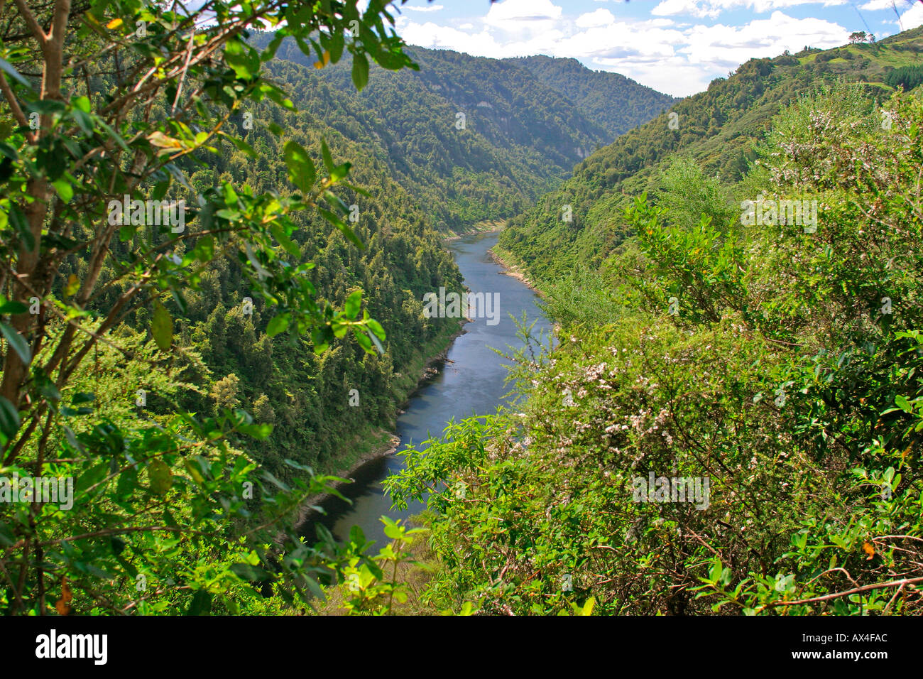 whanganui river new zealand Stock Photo - Alamy