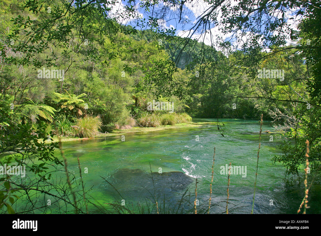 Kawerau hi-res stock photography and images - Alamy