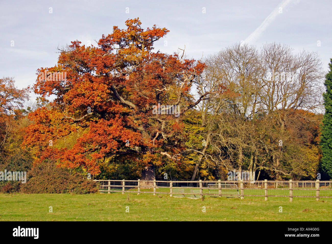 Essex scenery hi-res stock photography and images - Alamy