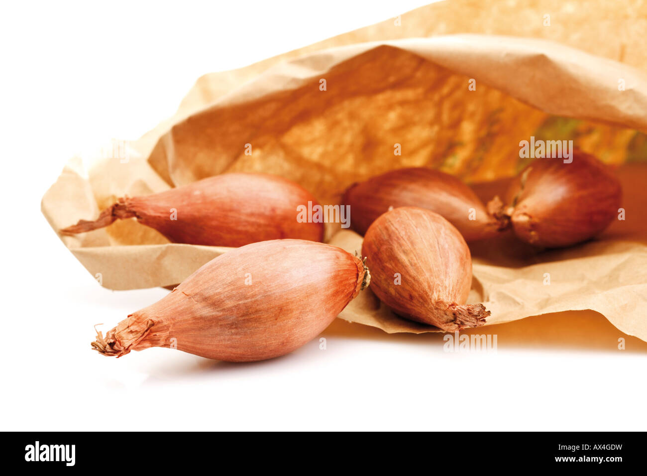 Paper photos hi-res stock photography and images - Alamy