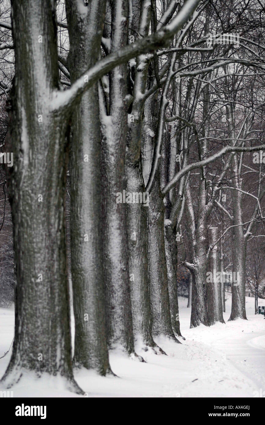 Springbank park hi-res stock photography and images - Alamy