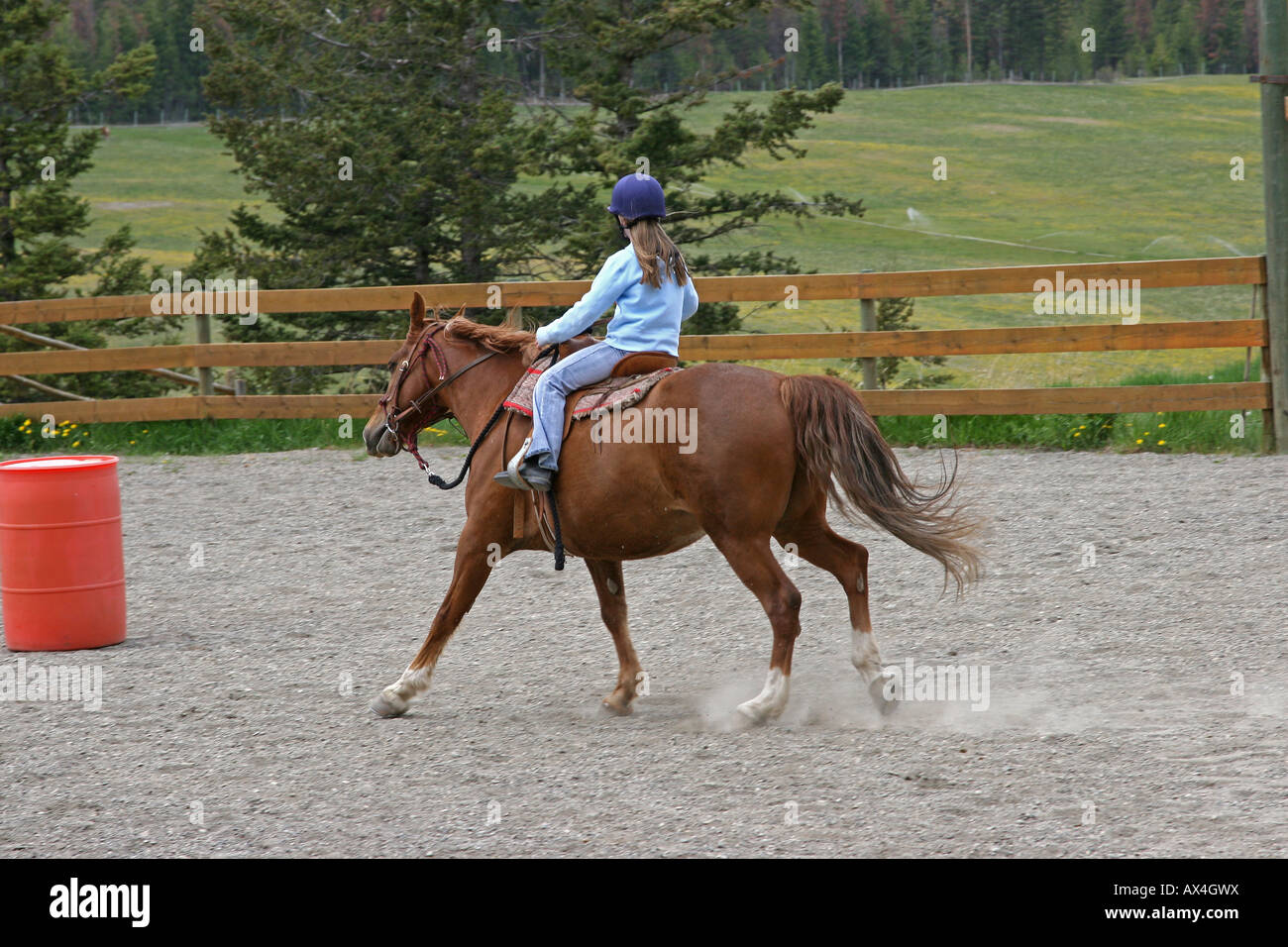 Young girl practising barrel racing Stock Photo - Alamy