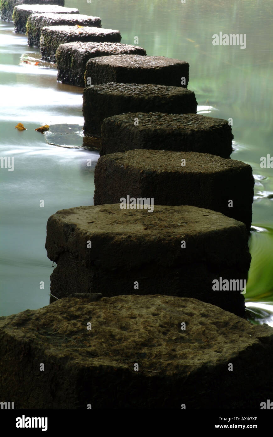 The Stepping Stones used to cross the River Mole near Box Hill Dorking ...