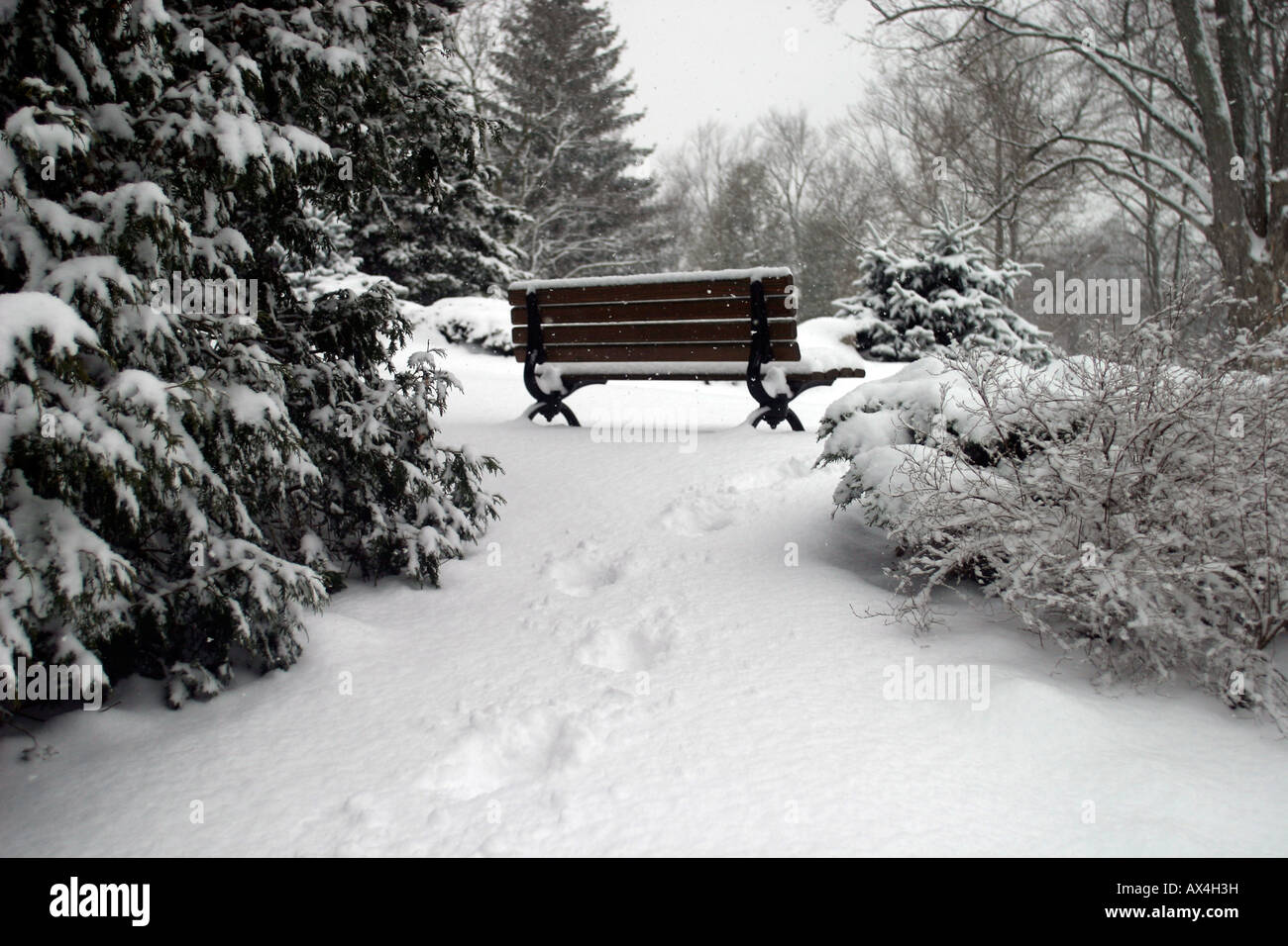 Springbank park london ontario hi-res stock photography and images - Alamy