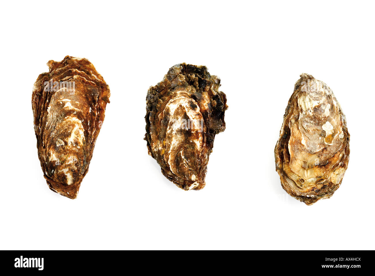 Side closed Cut Out Stock Images & Pictures - Alamy