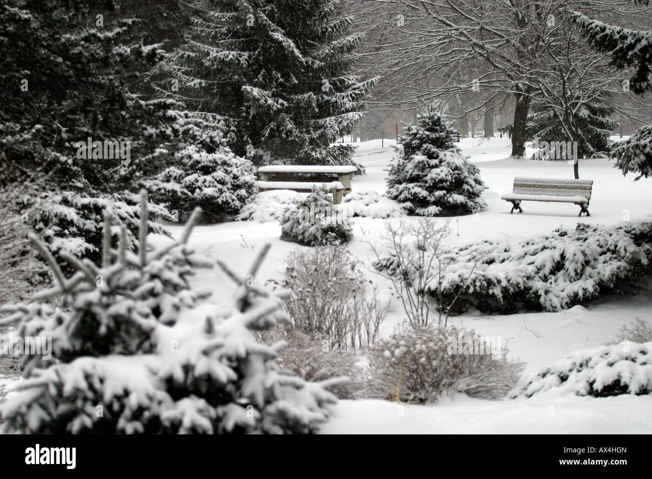 Springbank park hi-res stock photography and images - Alamy