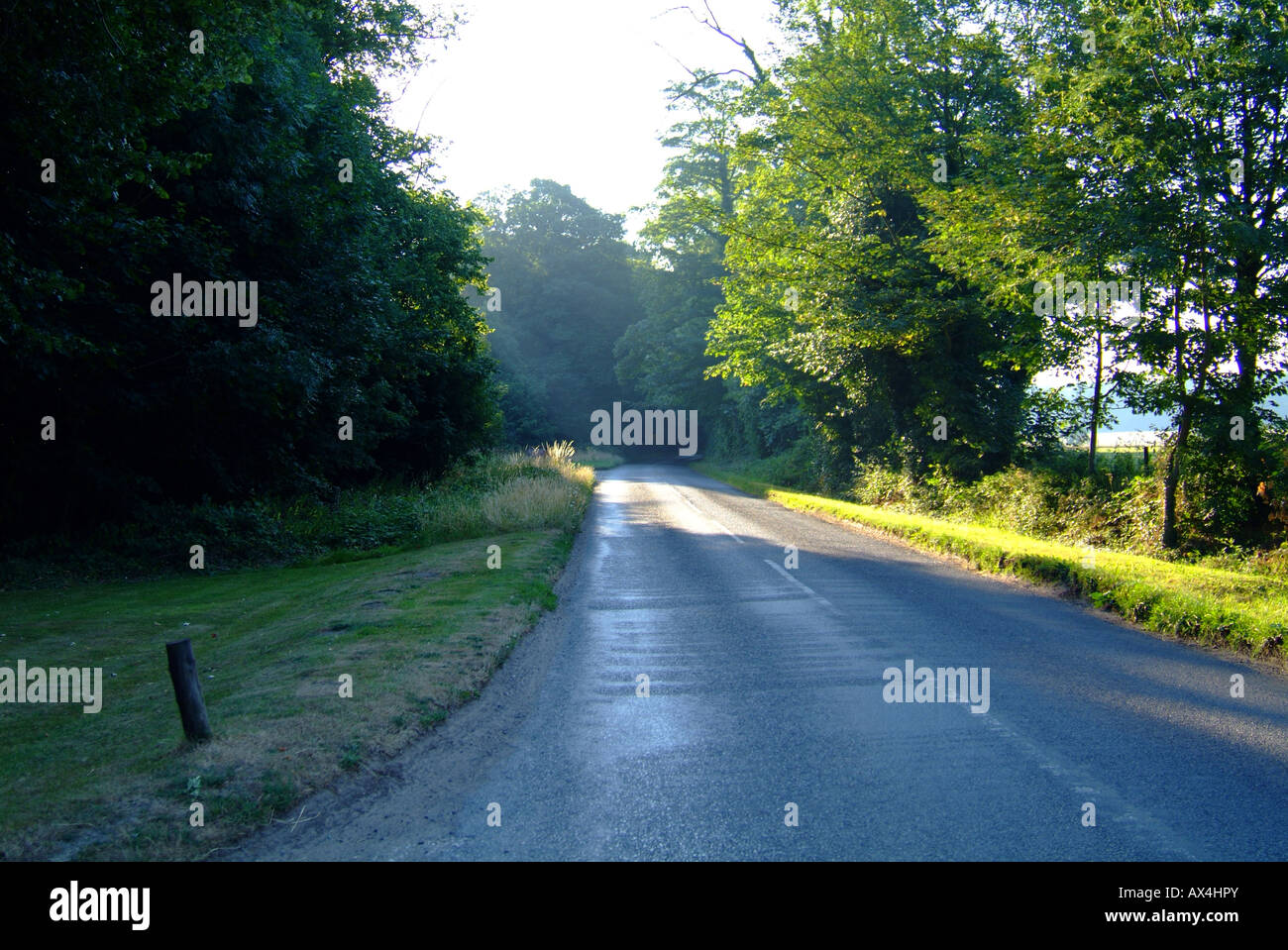 A colourful road in a wooded countryside in Surrey, England Stock Photo ...