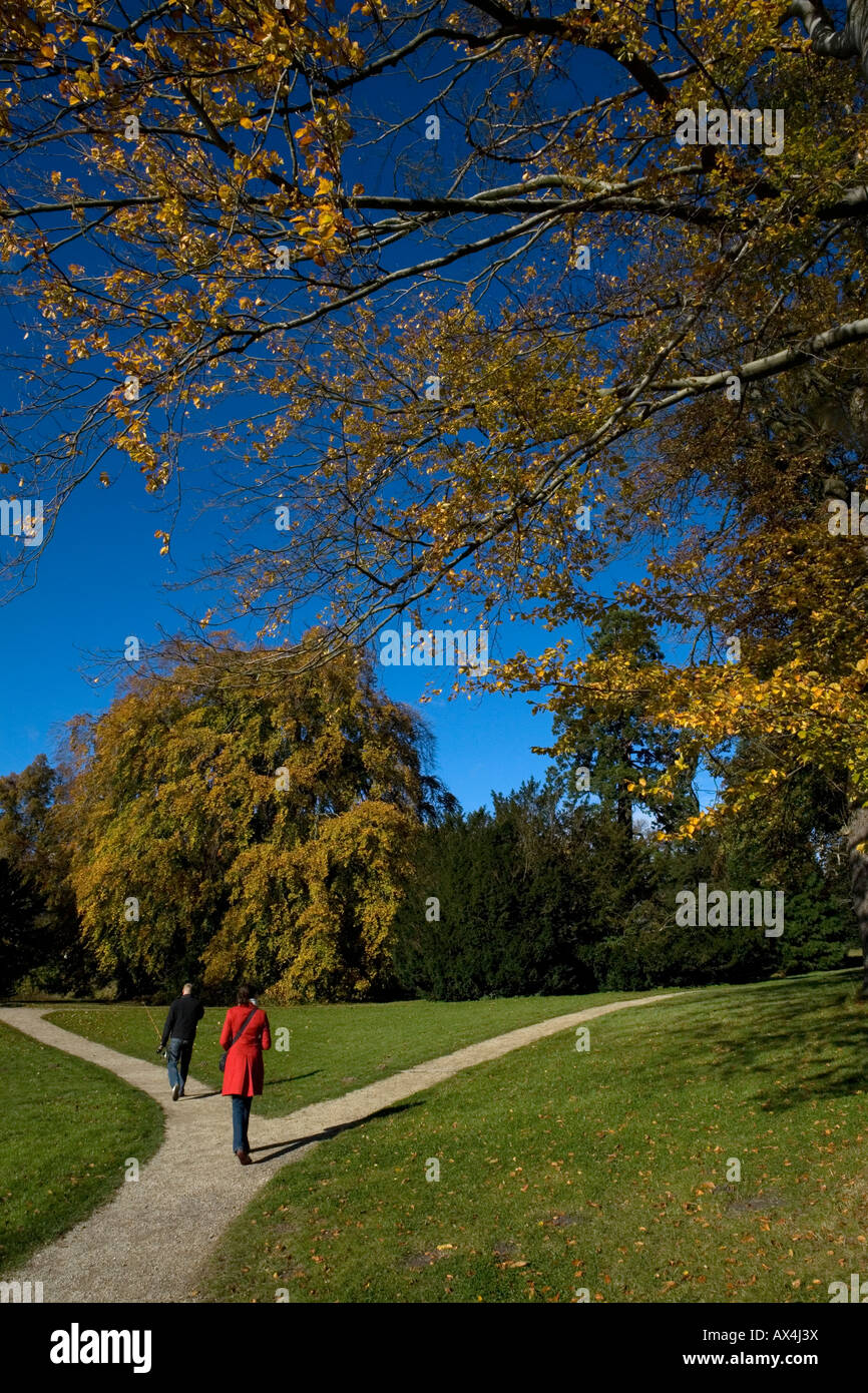 two people choosing paths Stock Photo - Alamy