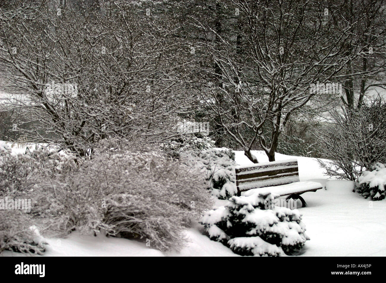 Springbank park in London Ontario during winter Stock Photo - Alamy