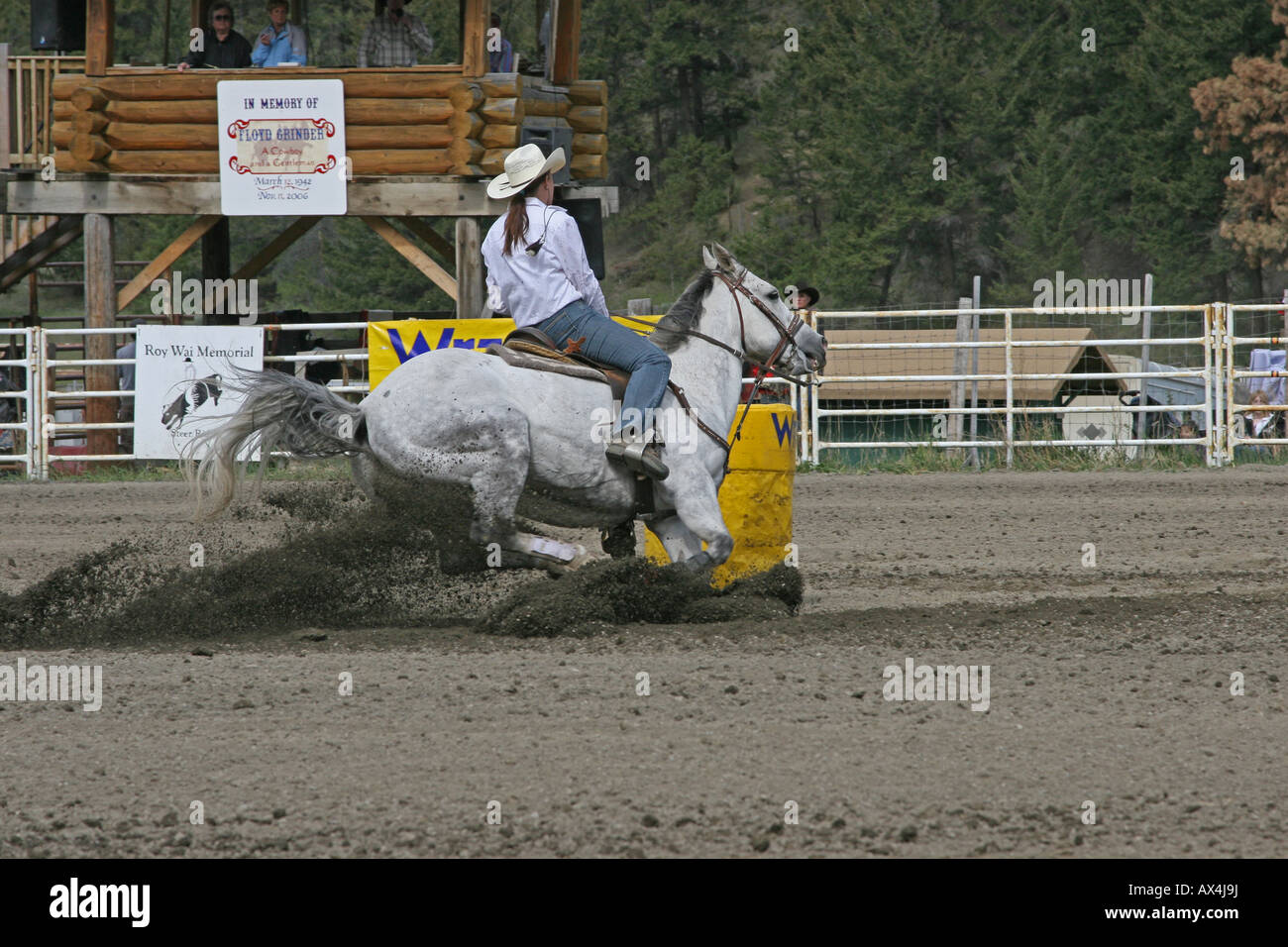 Barrel racing at a rodeo Stock Photo - Alamy