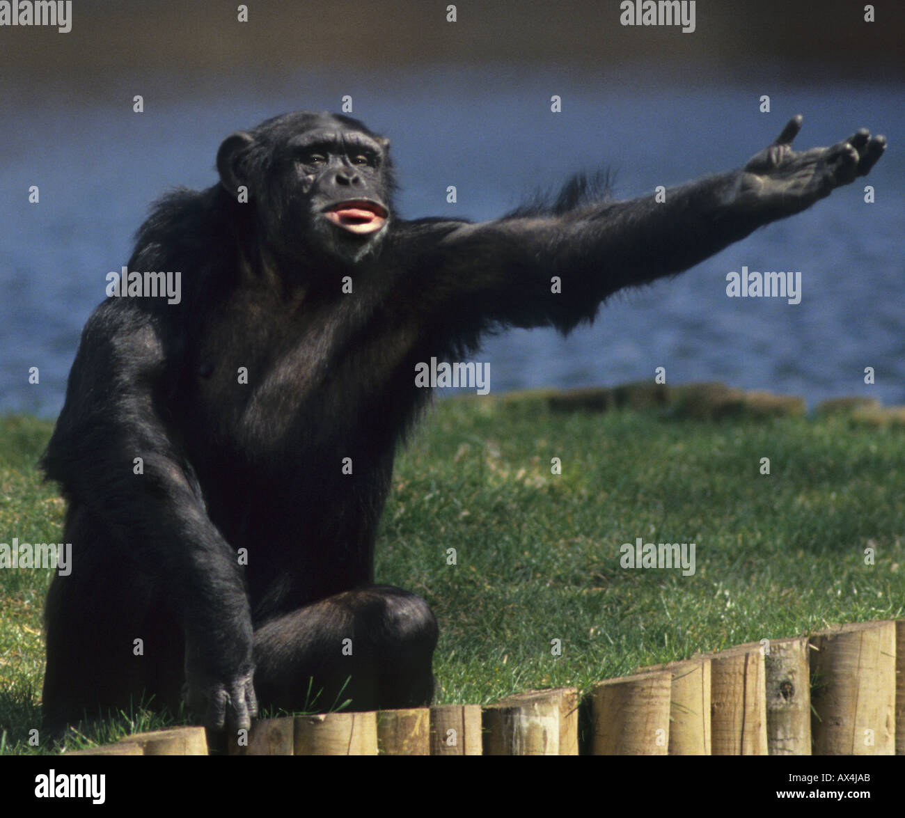 Cheeky laughter hi-res stock photography and images - Alamy