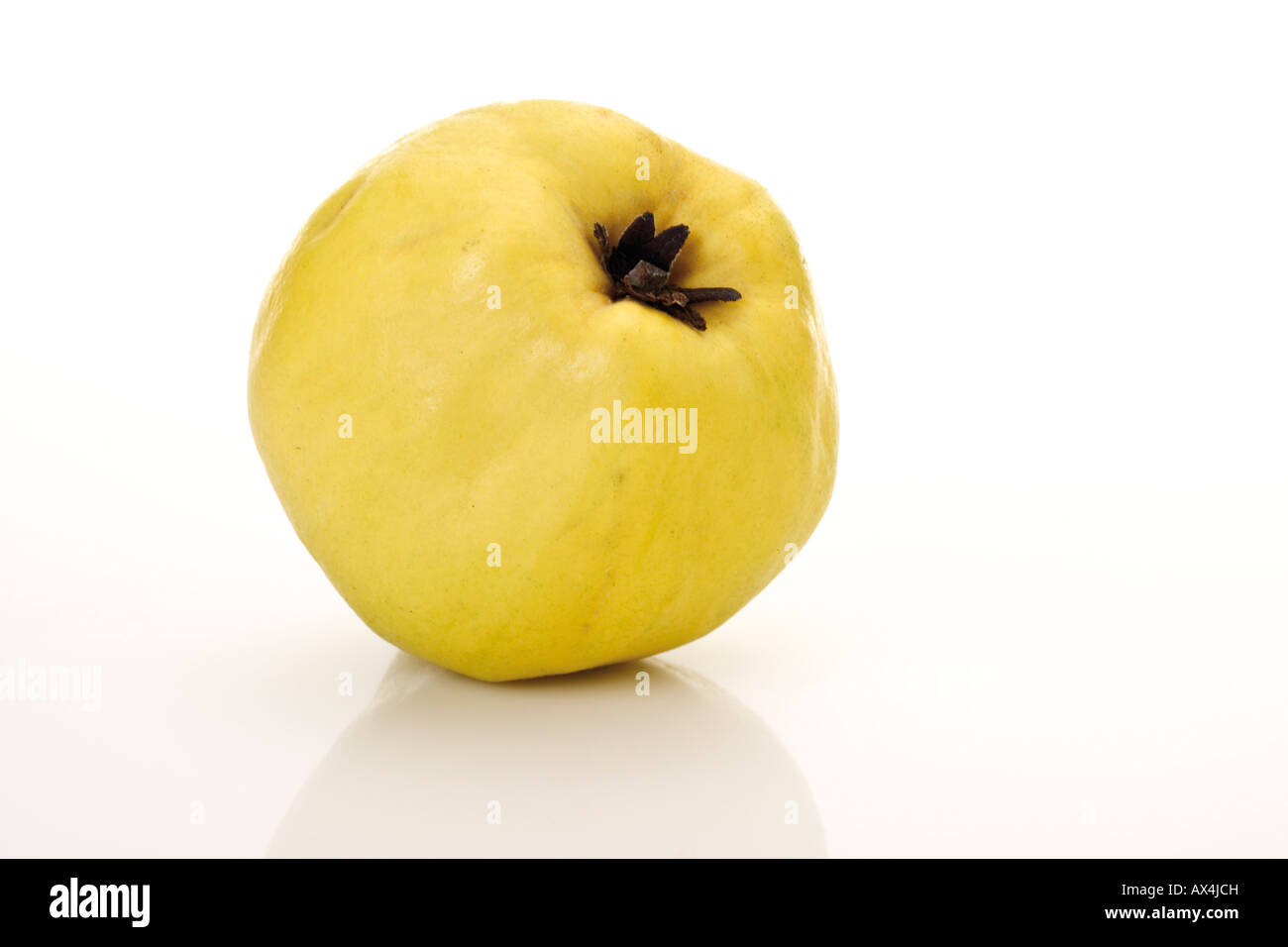 Single quince, (Cydonia oblonga),close-up Stock Photo - Alamy