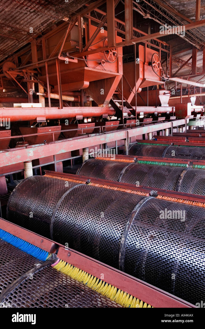 Coffee processing machinery hi-res stock photography and images - Alamy