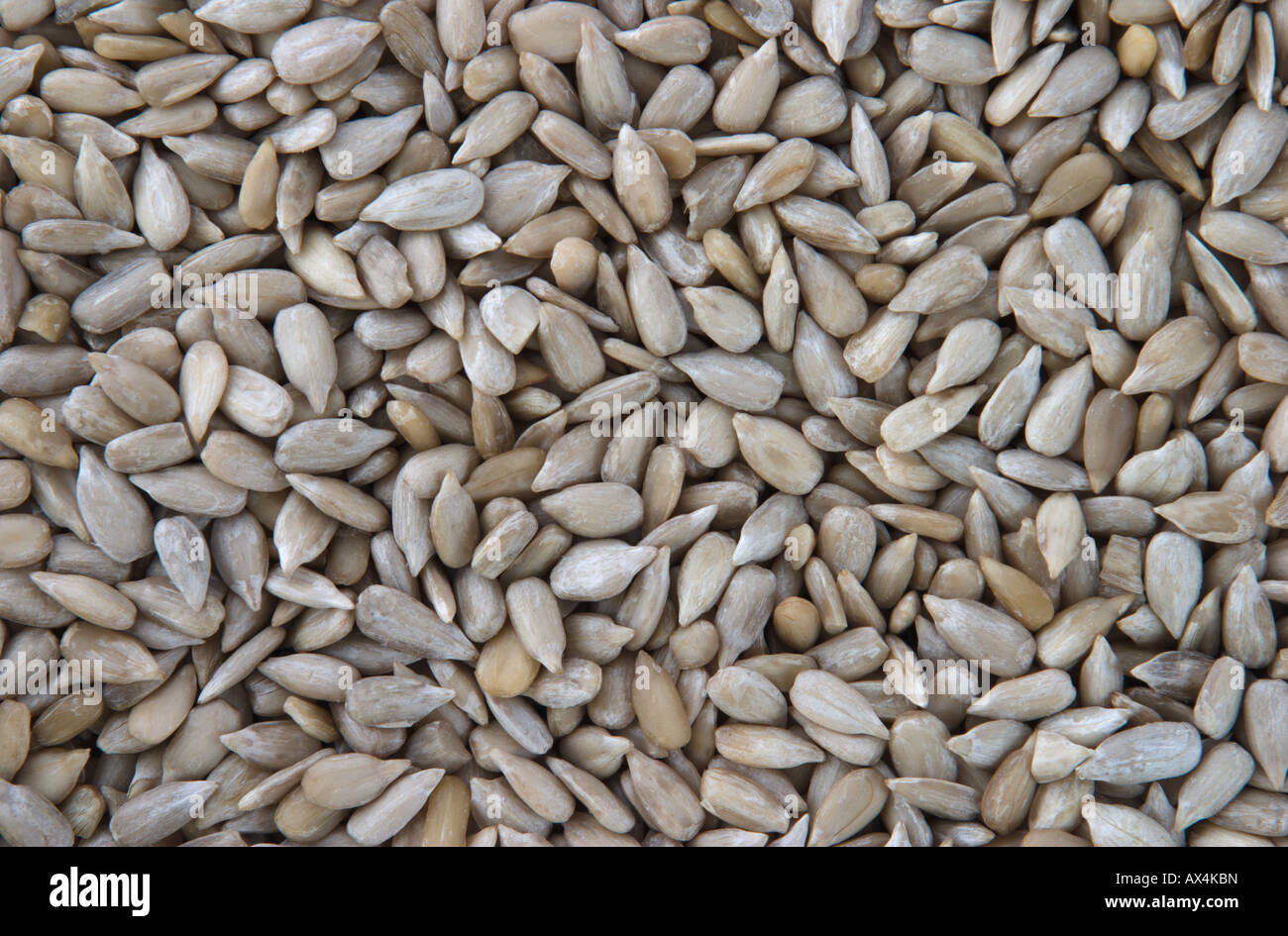 Zaden hi-res stock photography and images - Alamy