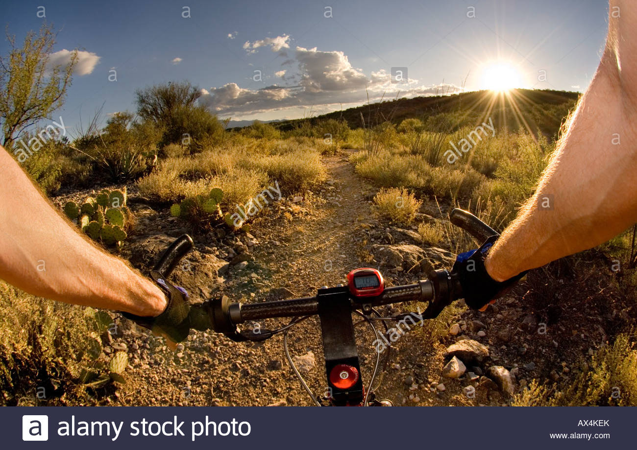Following The Sun High Resolution Stock Photography and Images - Alamy