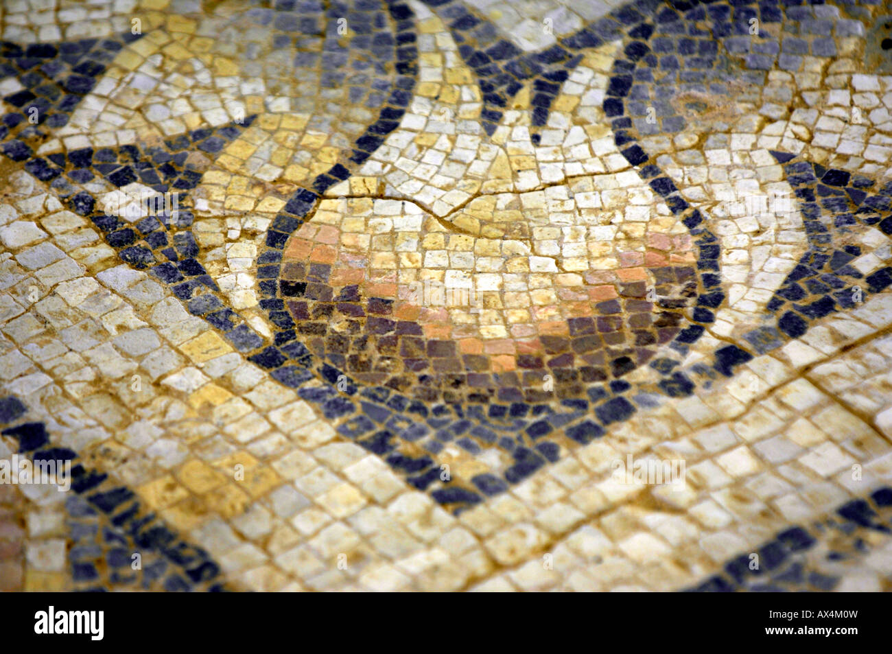 mosaic house of eustolios kourion kourio curium cyprus ancient ...