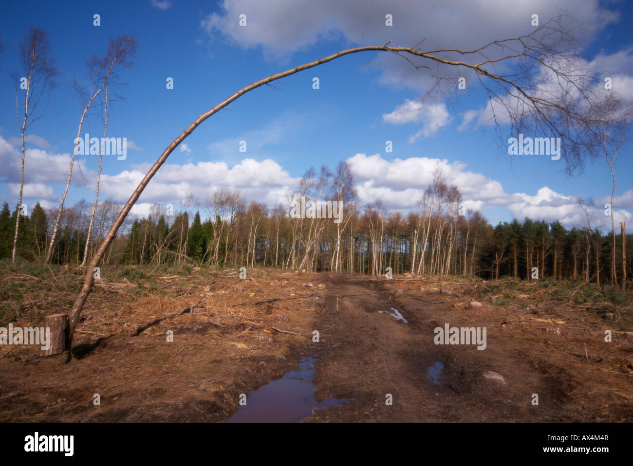 Landscape following deforestation in Derbyshire England Stock Photo - Alamy