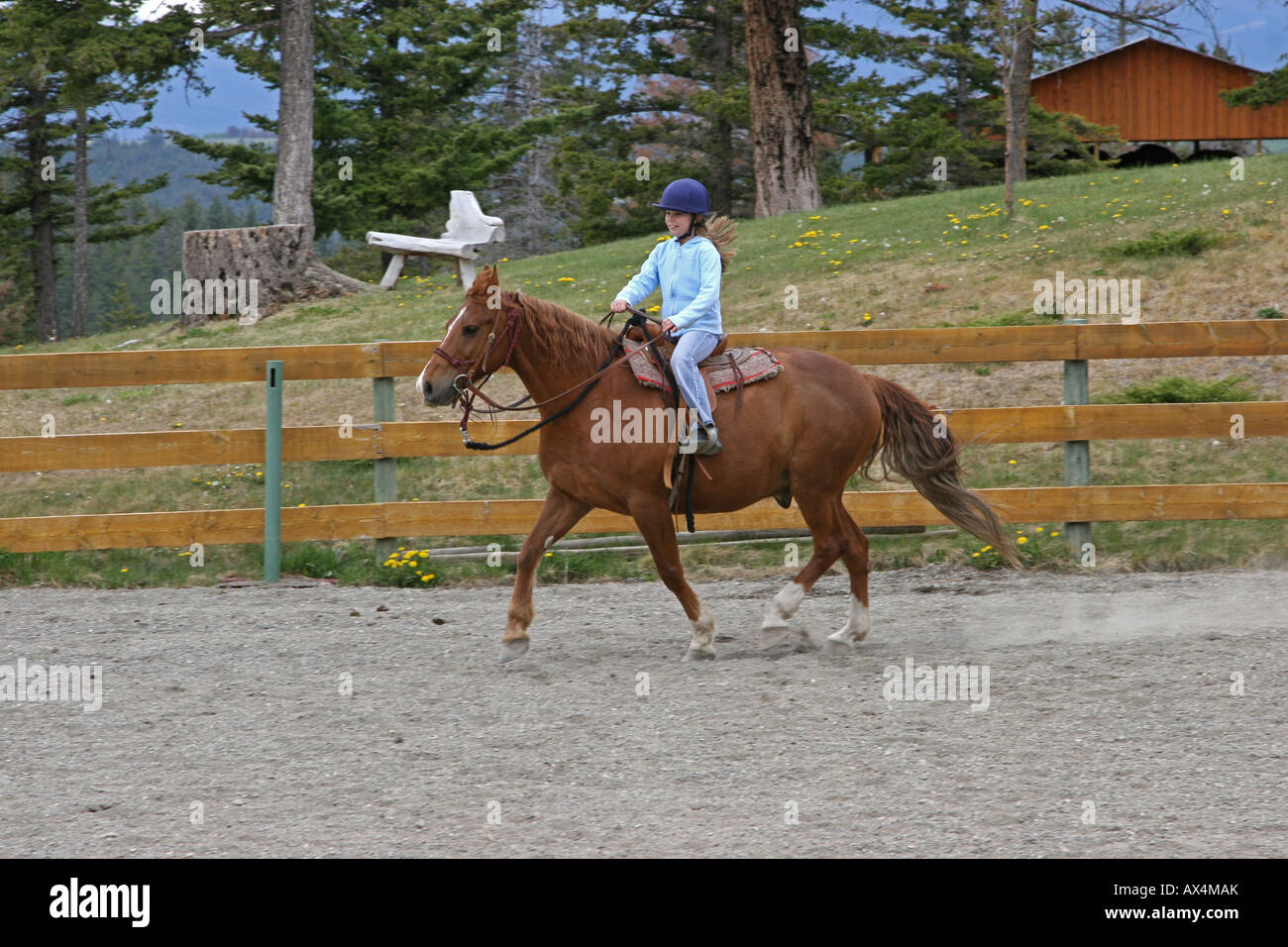 Young girl riding a chestnut horse western style Stock Photo - Alamy
