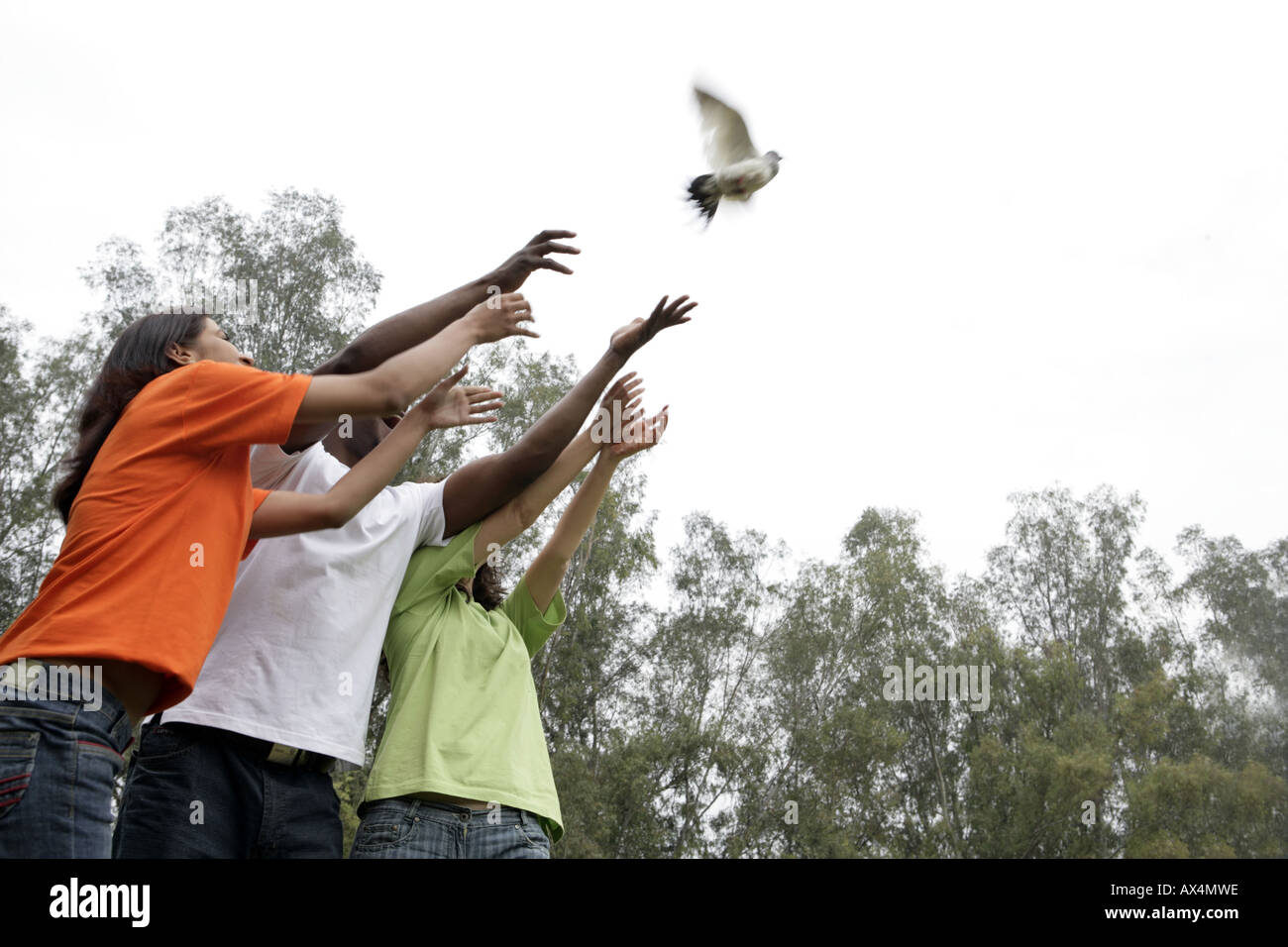 Low angle view of three friends flying pigeon Stock Photo - Alamy