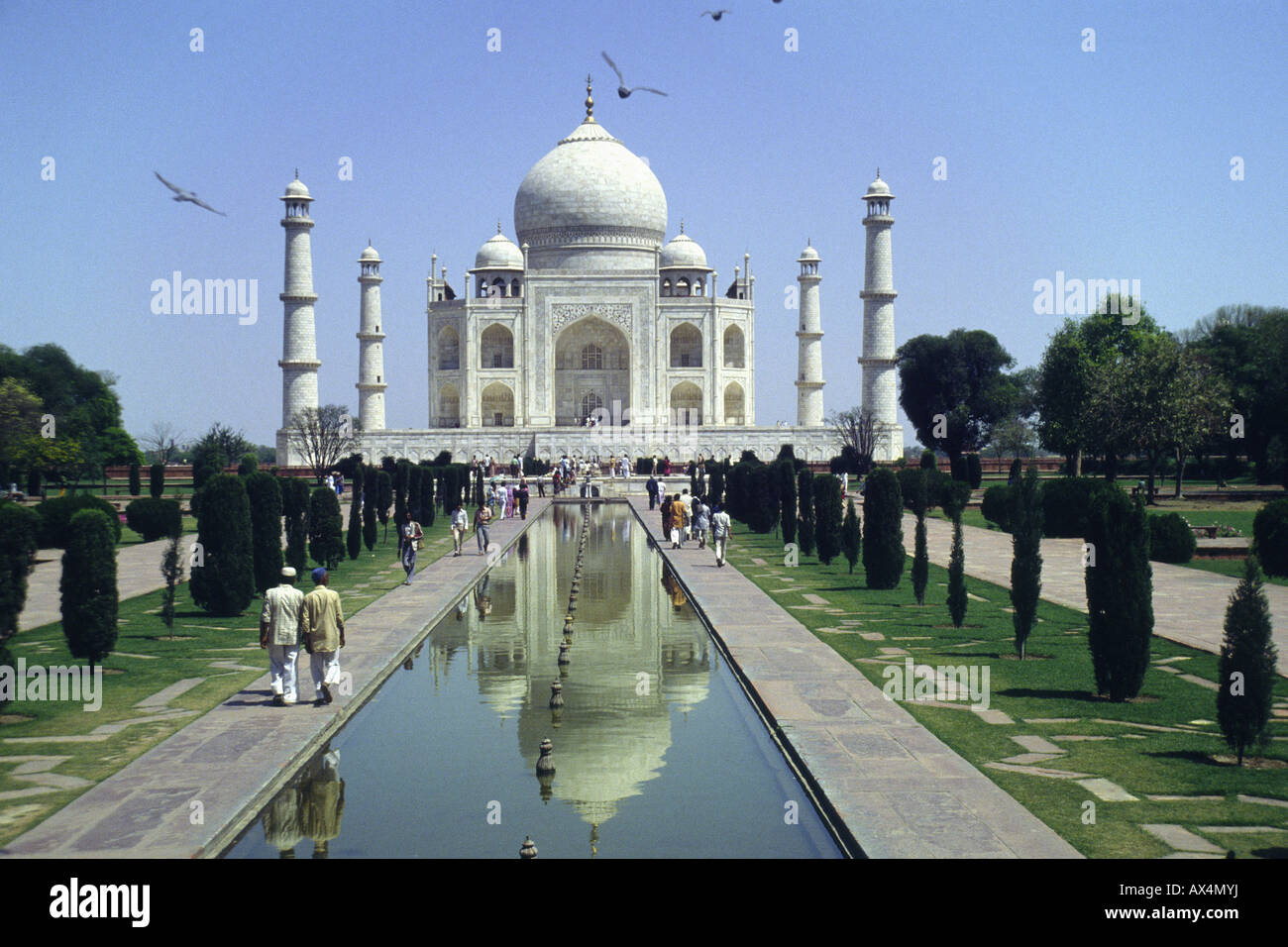 Taj Mahal with birds flying Stock Photo - Alamy