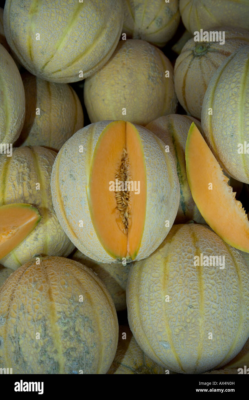 Planting melons hi-res stock photography and images - Alamy