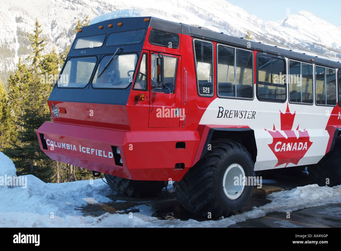 Glacier ice explorer bus hi-res stock photography and images - Alamy