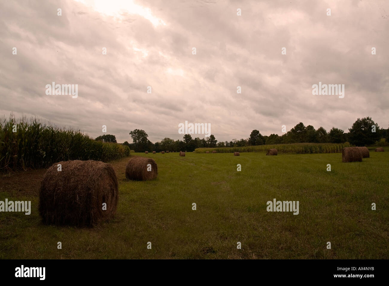 "Landscape of Farm Stock Photo - Alamy