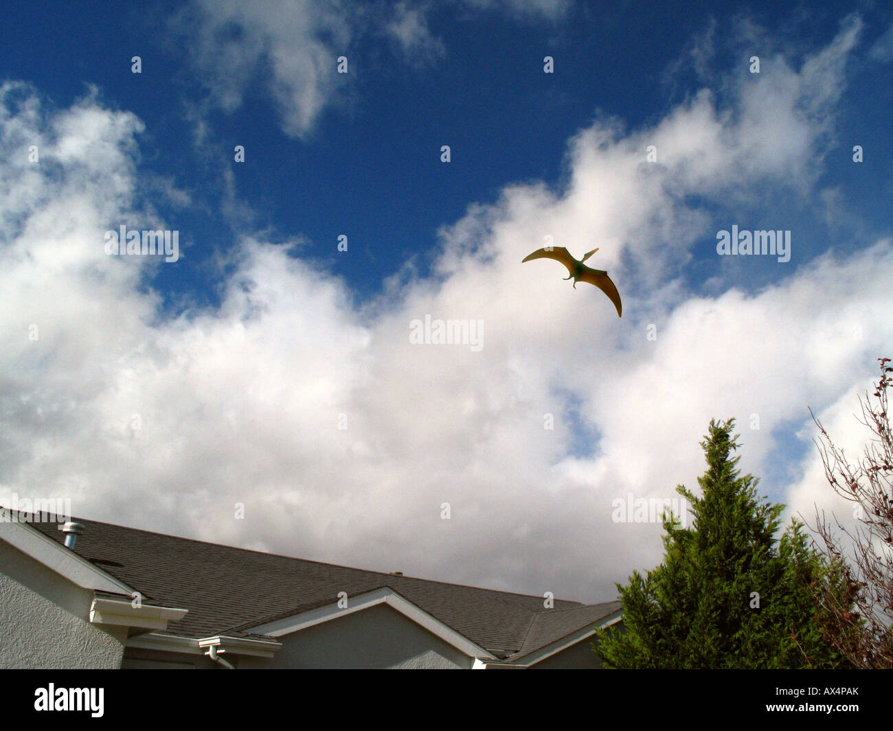 Pterodactyl hi-res stock photography and images - Alamy