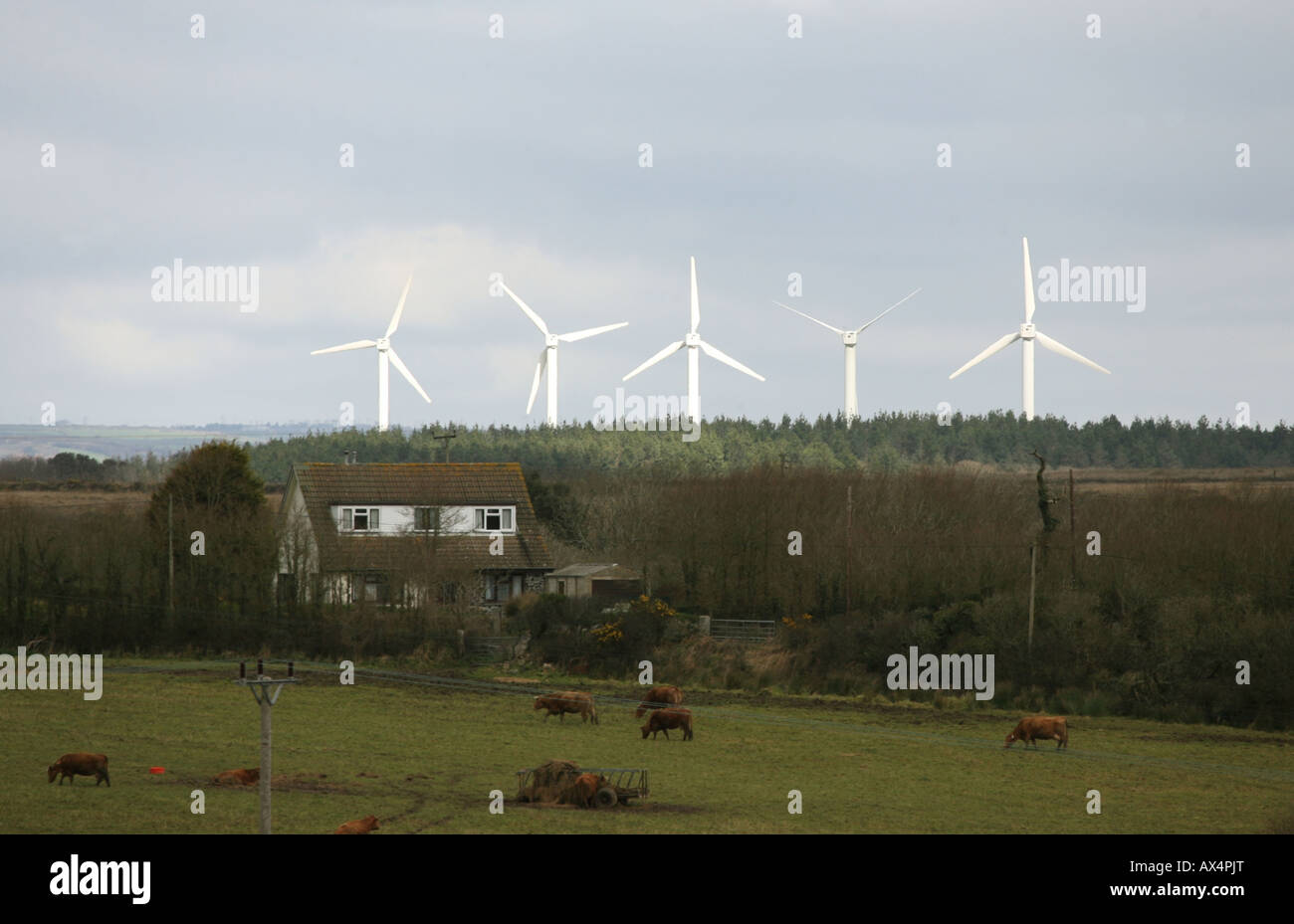 Goonhilly Cornwall England GB UK 2008 Stock Photo - Alamy