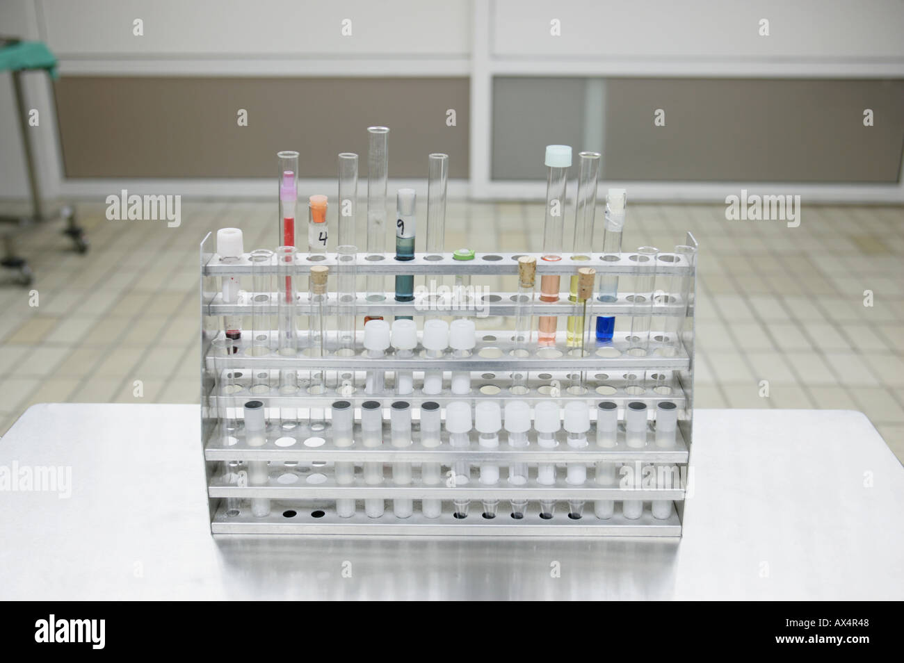 Test tubes in rack filled with colored liquid Stock Photo - Alamy