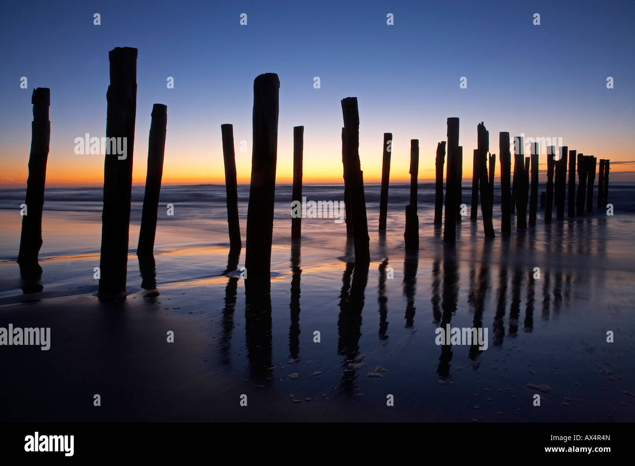 Old Pier Piles at Dawn St Clair Beach Dunedin South Island New Zealand ...