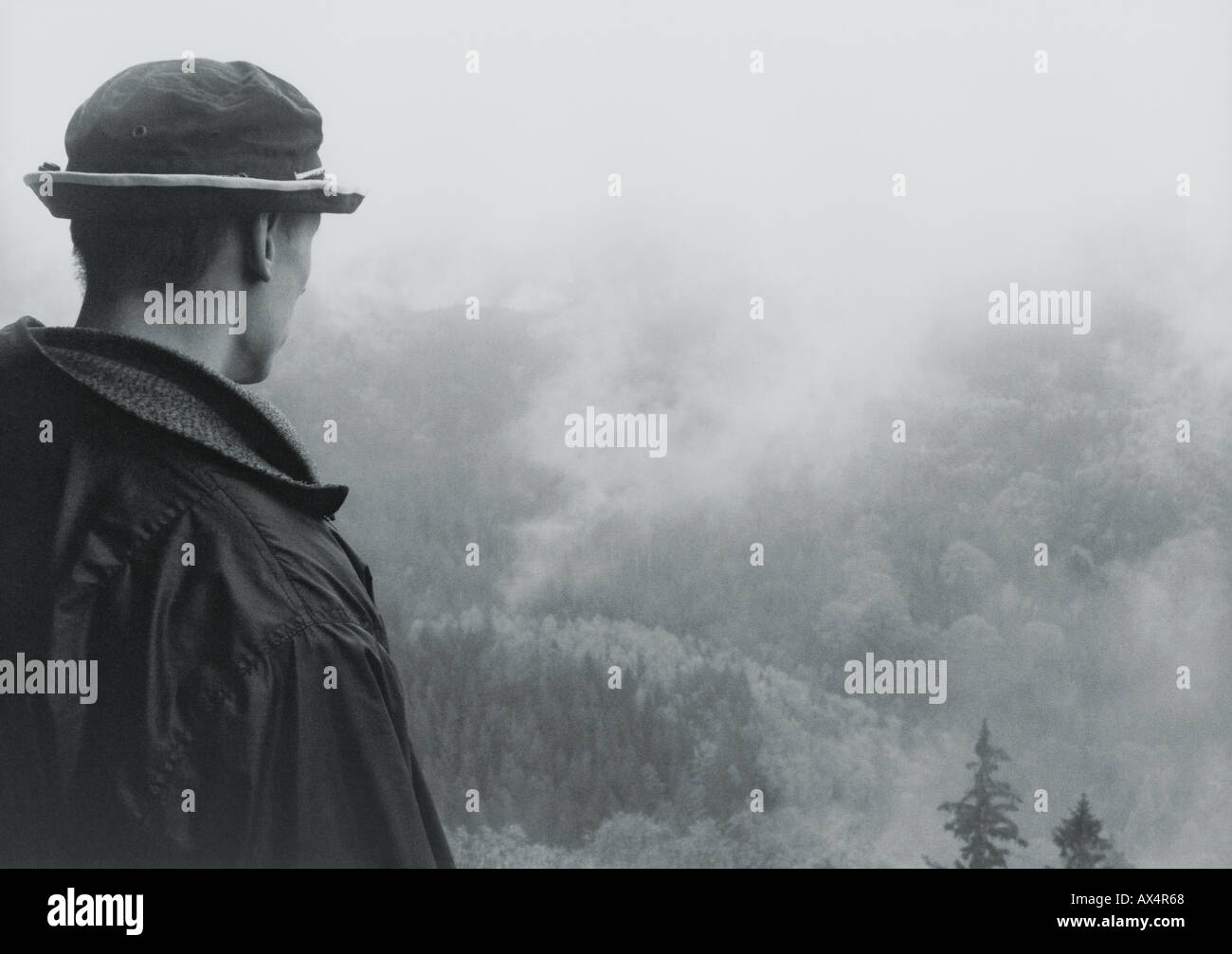 A man watching a forest fire Stock Photo - Alamy