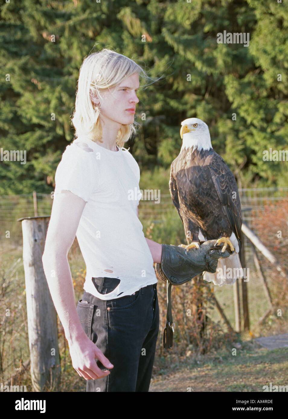 Eagle on hand hi-res stock photography and images - Alamy