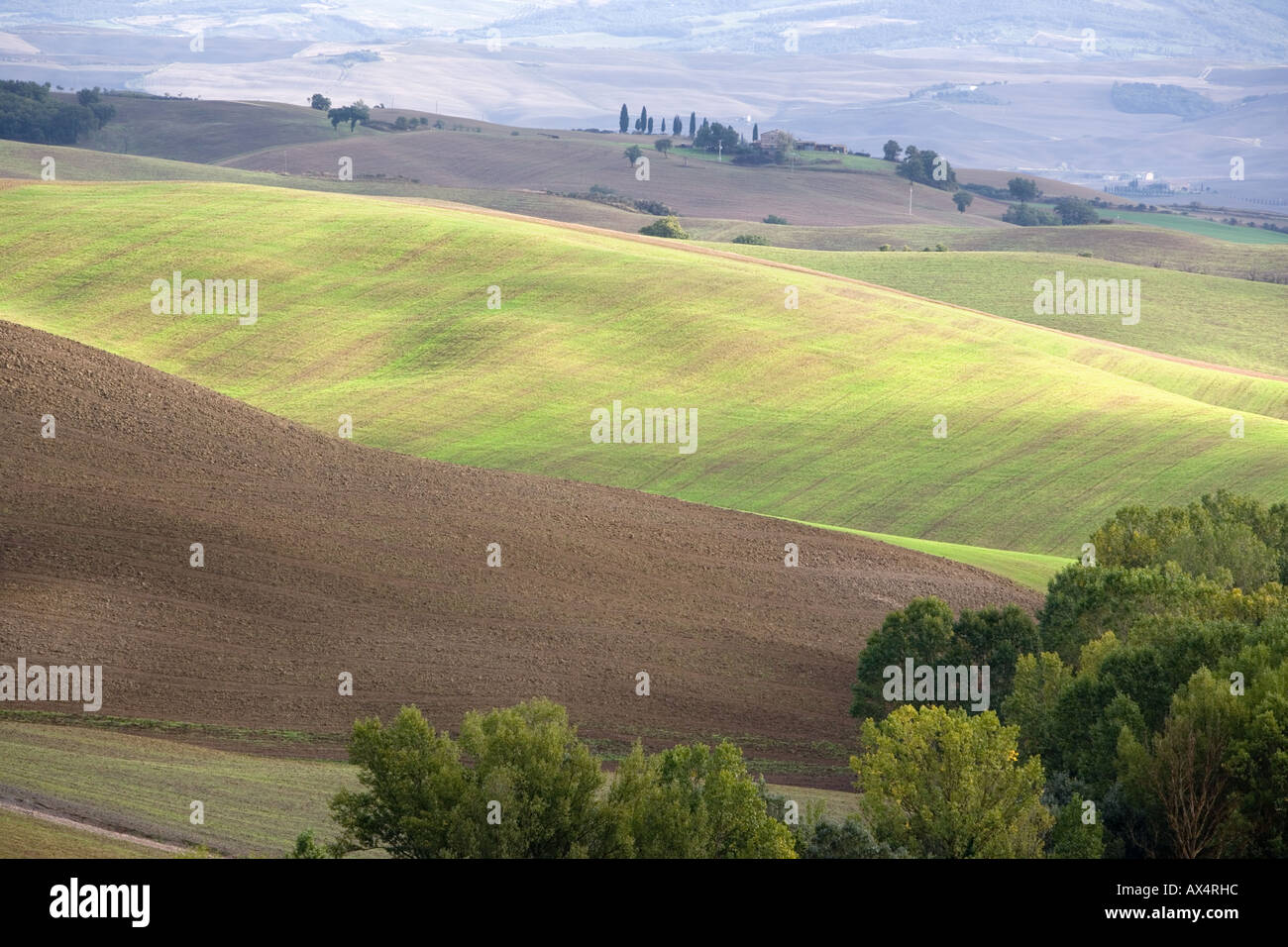 Undulating hills and landscape of southern Tuscany near Pienza Italy ...