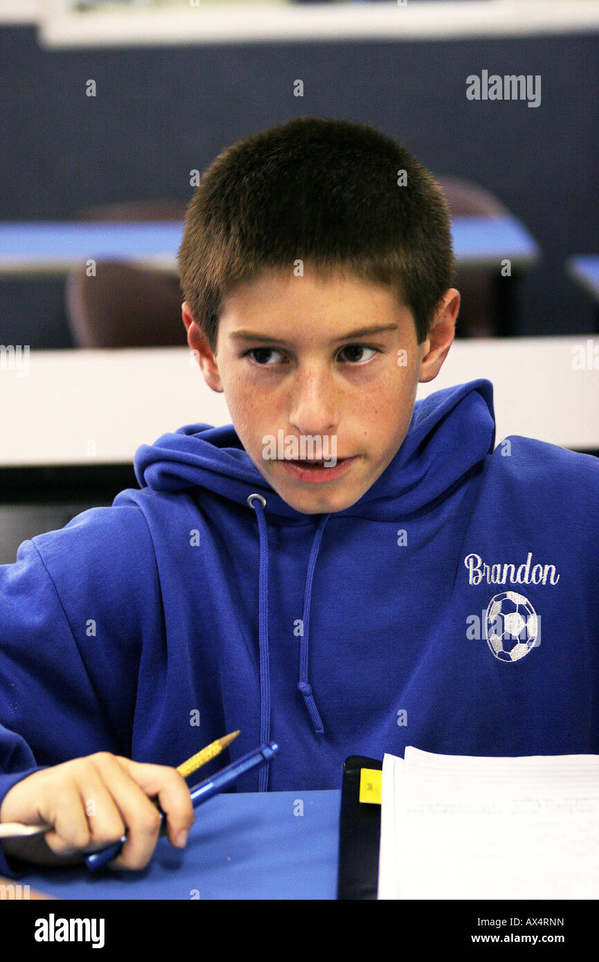 Portrait of young boy in school room setting Stock Photo - Alamy