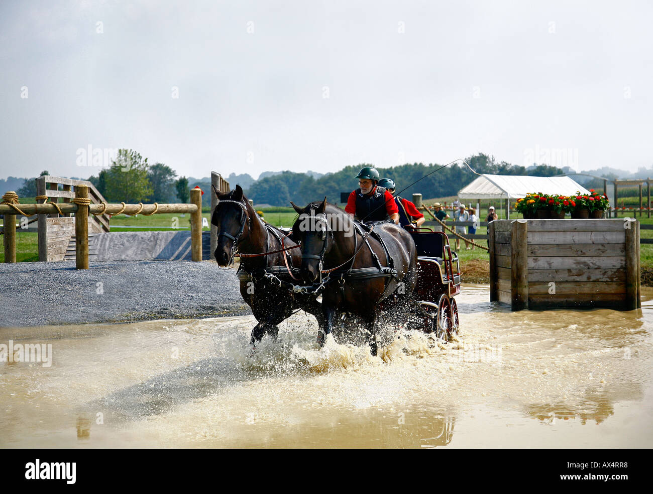 "International Horse Carriage Racing Stock Photo - Alamy