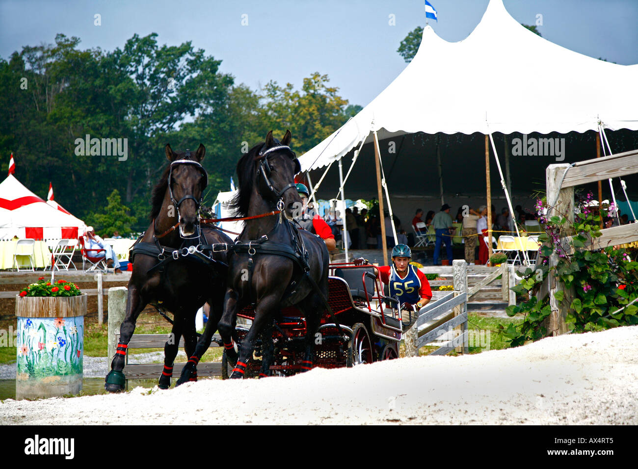 "Laurels of Landhope International Carriage Racing Stock Photo - Alamy
