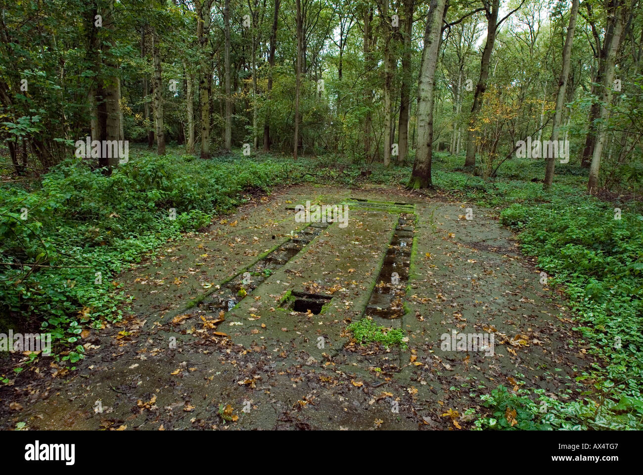 BELGIUM V1 ROCKET LAUNCH RAMP BASE FROM WORLD WAR 2 IN FOREST NEAR ... BELGIUM V1 ROCKET LAUNCH RAMP BASE FROM WORLD WAR 2 IN FOREST NEAR ...