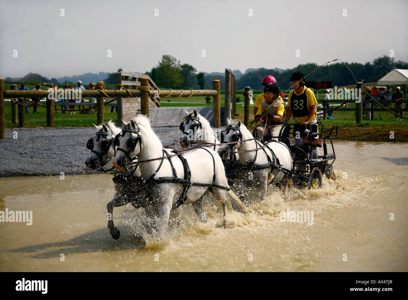Four up horse team hi-res stock photography and images - Alamy