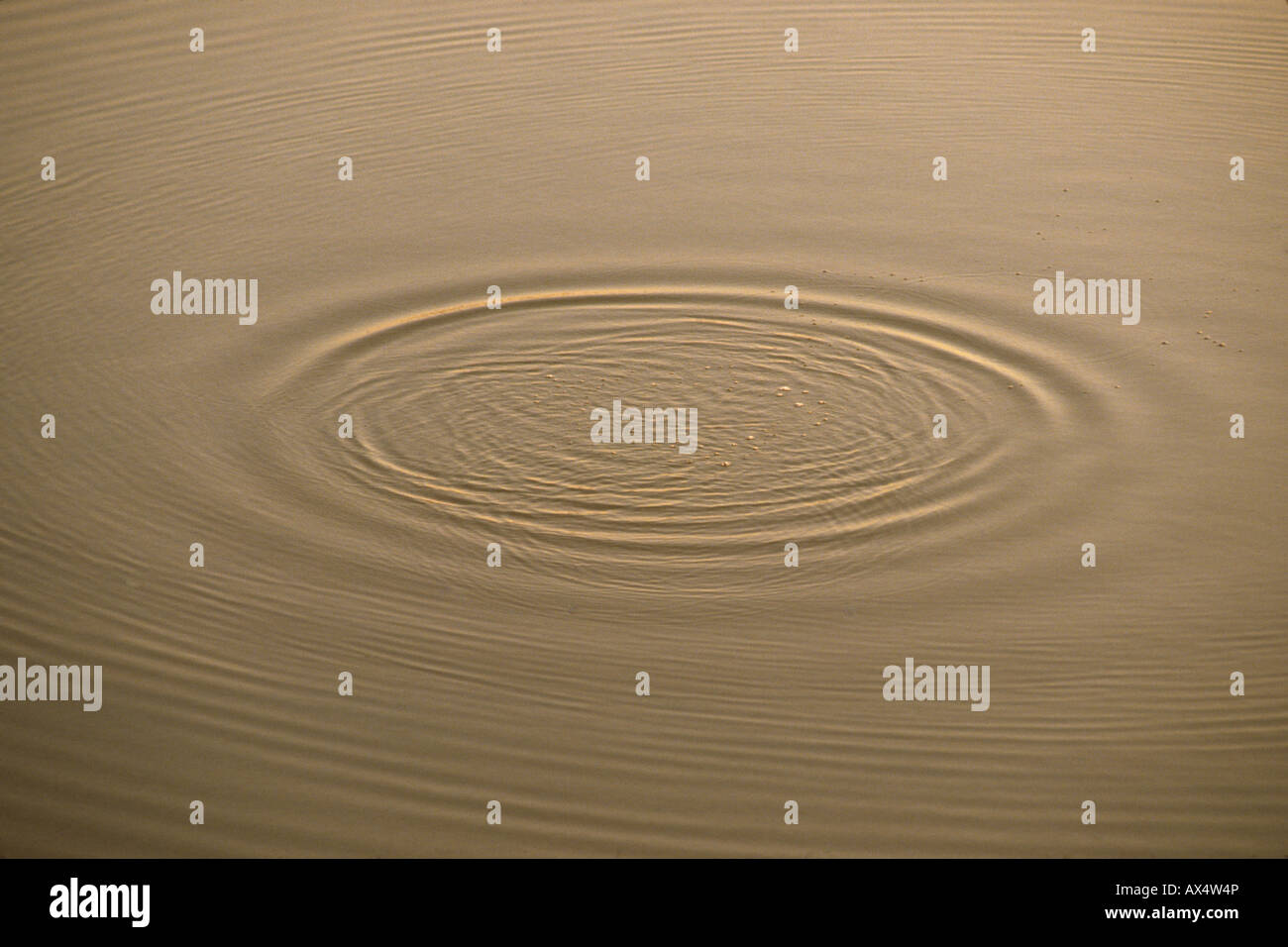 Thrown by waves hi-res stock photography and images - Alamy