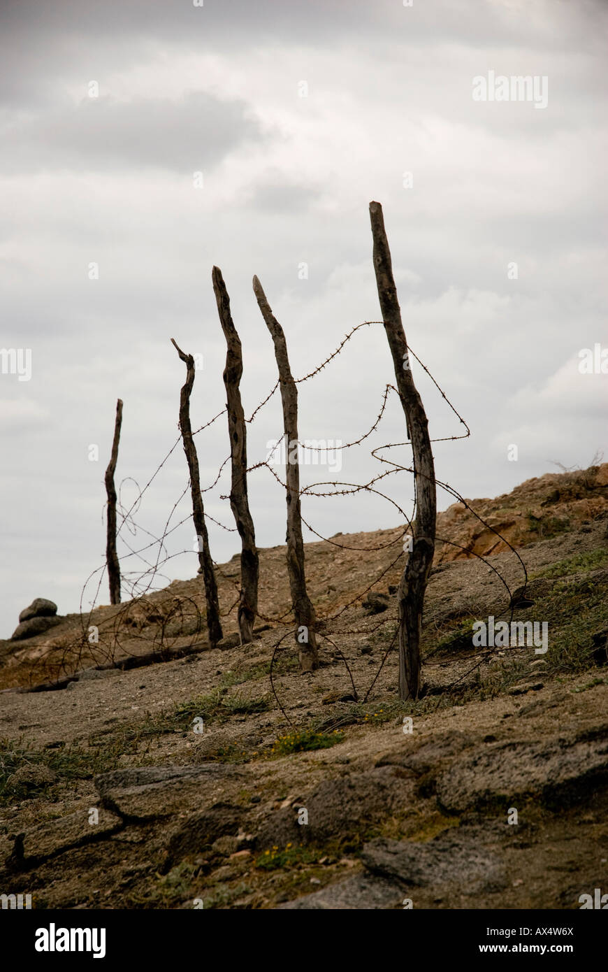Barbed Wire and posts on ranch in Mexico Stock Photo - Alamy